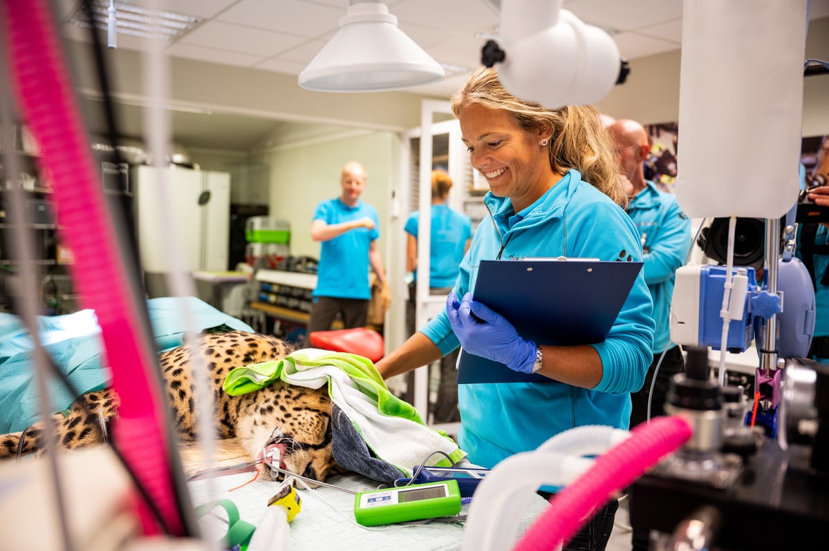 Våre samarbeidspartnere | Dyreparken
